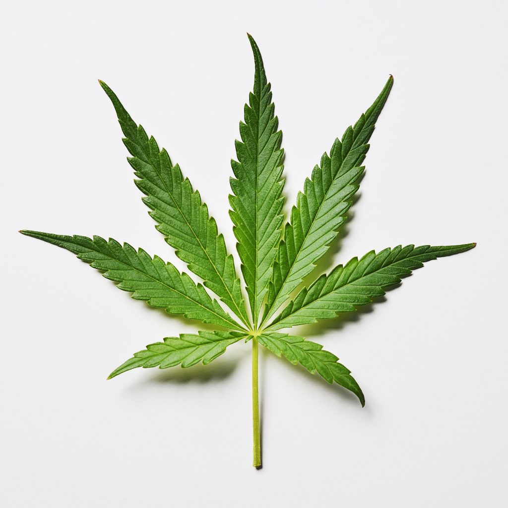 Is Nigeria Ready for Medical Marijuana? - Vanguard Allure