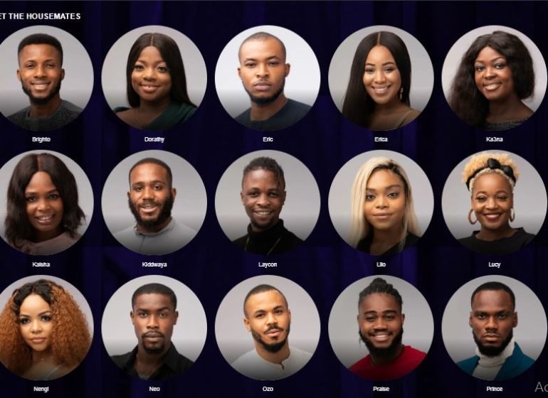 Here Are BBNaija Season Five Housemates - Vanguard Allure