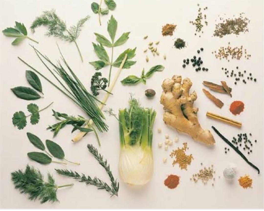 Importance of adding these Herbs to your food - Vanguard Allure