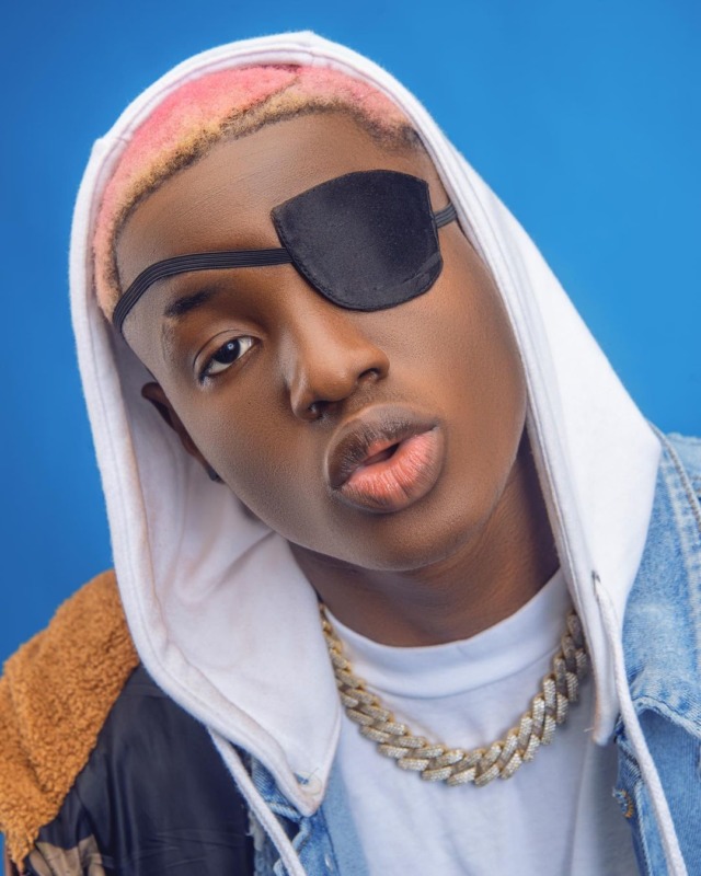 Singer, Ruger joins list of house owners - Vanguard Allure