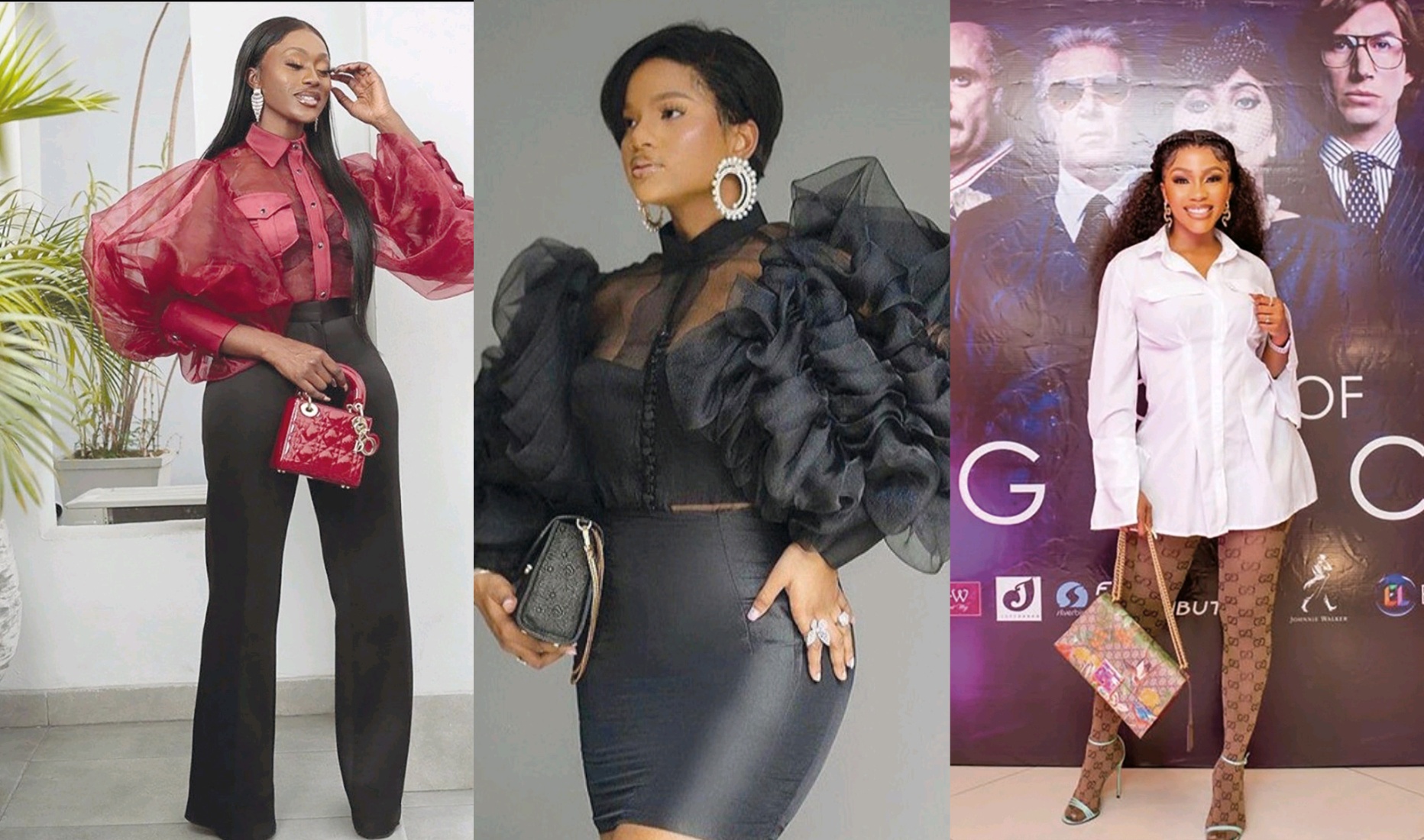 Sheer Elegance - Vanguard Allure