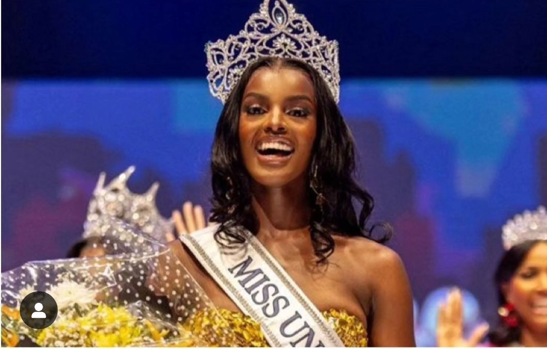 Chidimma Adetshina To Be Stripped of South African ID Papers - Vanguard ...