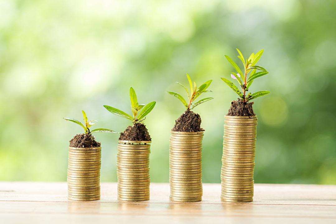 How to Invest in Mutual Funds, Treasury Bills, Commercial Papers ...